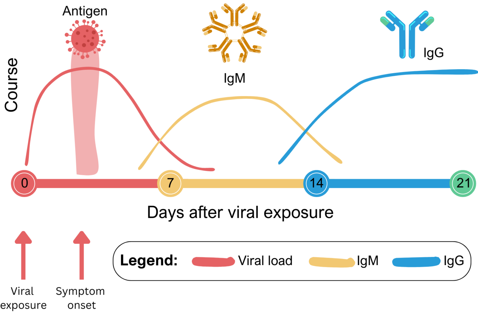 Oropouche Virus: Symptoms, Diagnosis, and Testing in North America ...